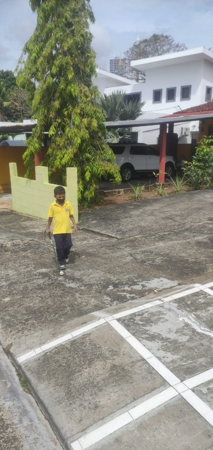 El bastón verde, aliado indispensable para personas con baja visión